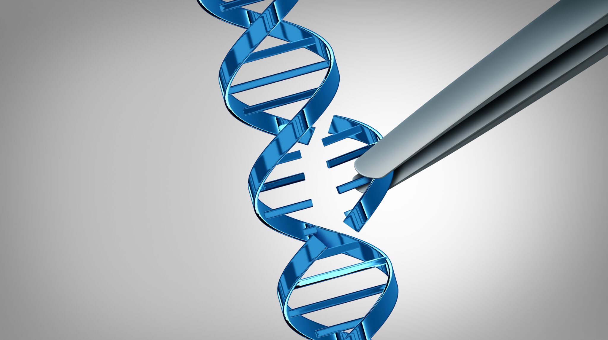 EU Overhauls Seed Laws: European Parliament Adopts New Genomic ...