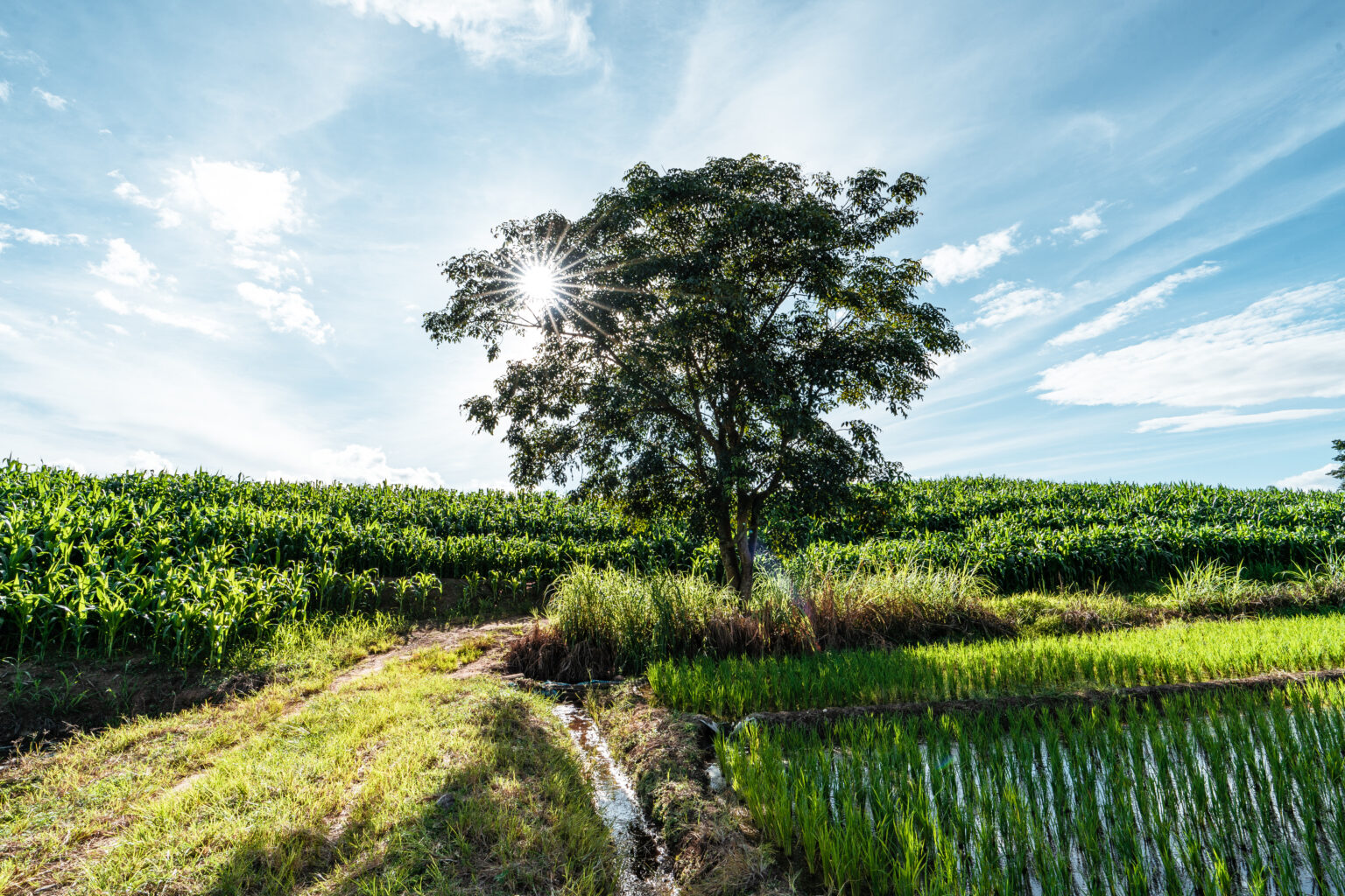 Farm to Fork: Global AgInvesting Asia Sets the Agenda for Tokyo ...